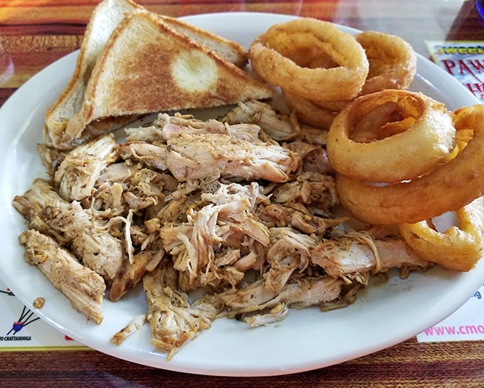 Pulled pork so tender it practically shredded itself, served with golden onion rings that crunch loud enough to turn heads three tables over.