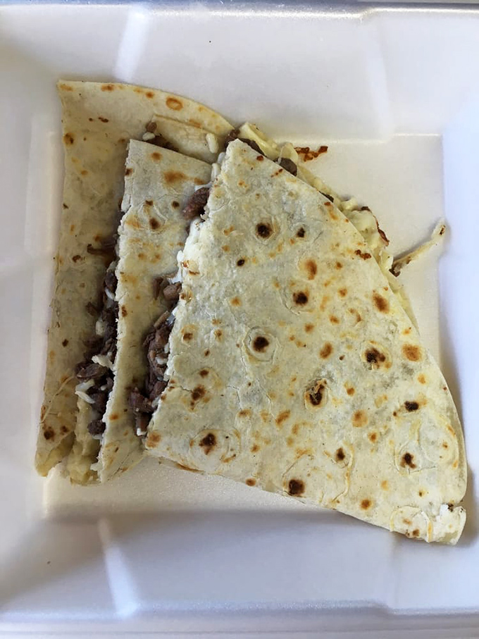 Quesadillas so perfectly grilled they make you wonder why you ever bothered with fancy restaurants. Simple perfection on a styrofoam plate.