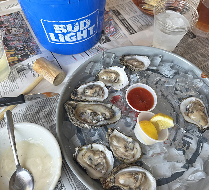 Ice-cold oysters paired with cold beer - a combination that's been making coastal diners happy for generations.