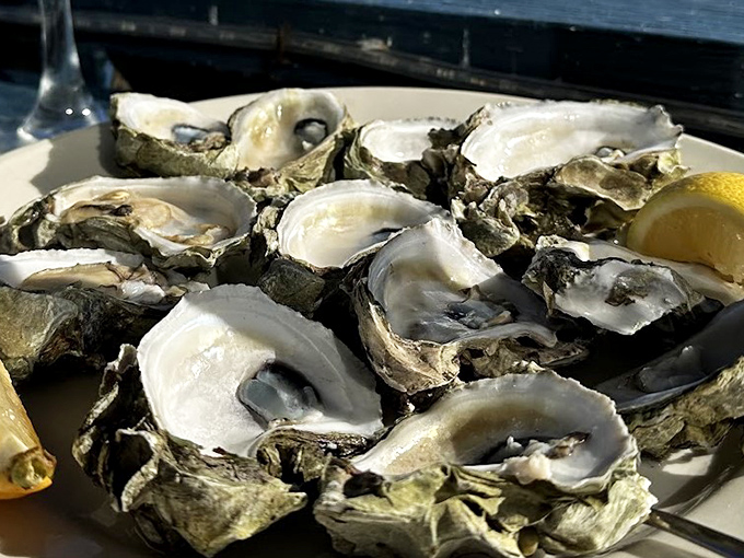 Fresh Gulf oysters arrive ready to transport your taste buds straight to briny heaven.