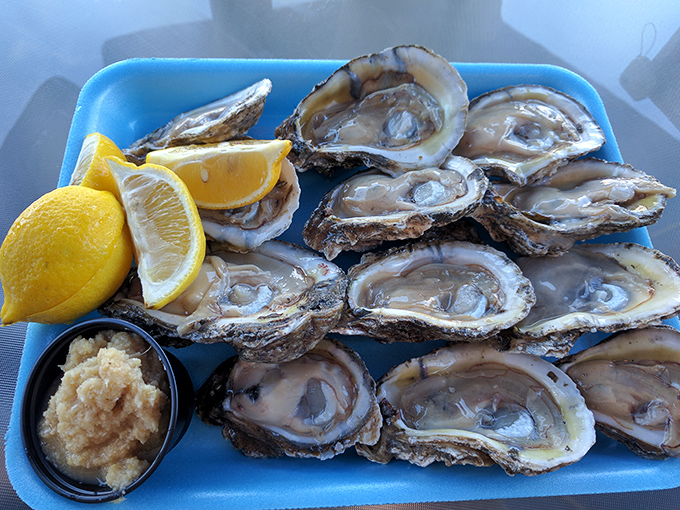 Fresh oysters on the half shell&mdash;nature's perfect appetizer. These briny jewels need nothing more than a squeeze of lemon and a moment of appreciation.