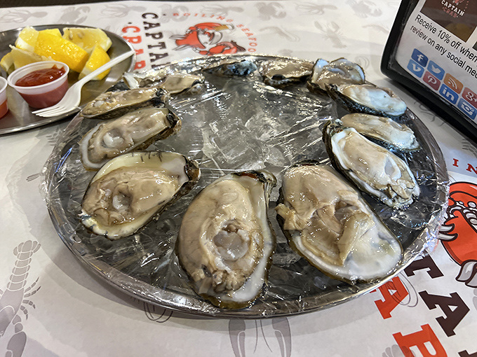 Fresh oysters arranged like jewels on crushed ice&mdash;nature's perfect appetizer. The ocean's most elegant offering requires nothing more than a squeeze of lemon.