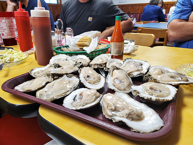 These glistening Gulf oysters aren't just seafood; they're time machines to the exact moment when ocean meets shore&mdash;briny, pristine, and unapologetically fresh.