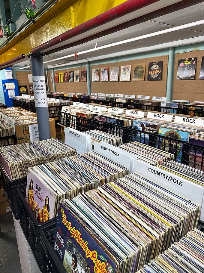 Vinyl heaven awaits the patient treasure hunter. These aren't just records&mdash;they're time capsules with soundtracks, filed under "Rock" and "Country/Folk."
