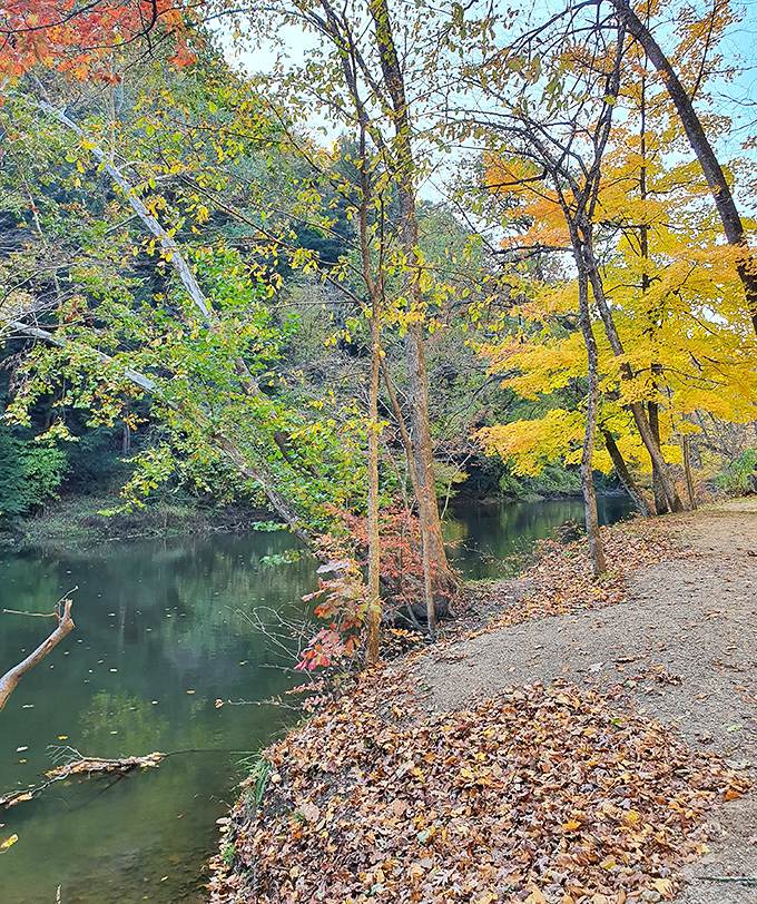 Mother Nature's autumn playlist hits all the right notes along this serene riverbank. No soundtrack necessary.