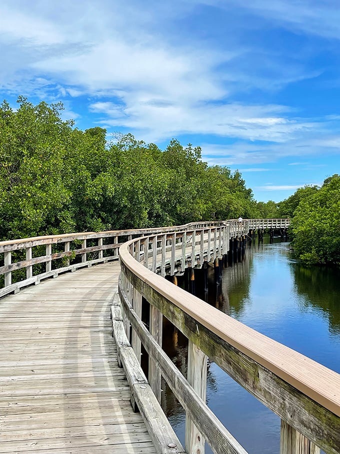 Robinson Preserve's boardwalk curves through mangroves like nature's own therapy session. No co-pay required.