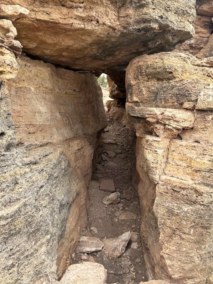 Nature's hallways carved through millennia of patience. Walking through feels like stepping into Earth's private art gallery.