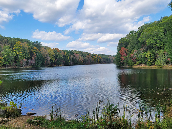 Rose Lake mirrors autumn's fiery palette with glass-like perfection. A moment of stillness in a world that rarely stops to catch its breath.
