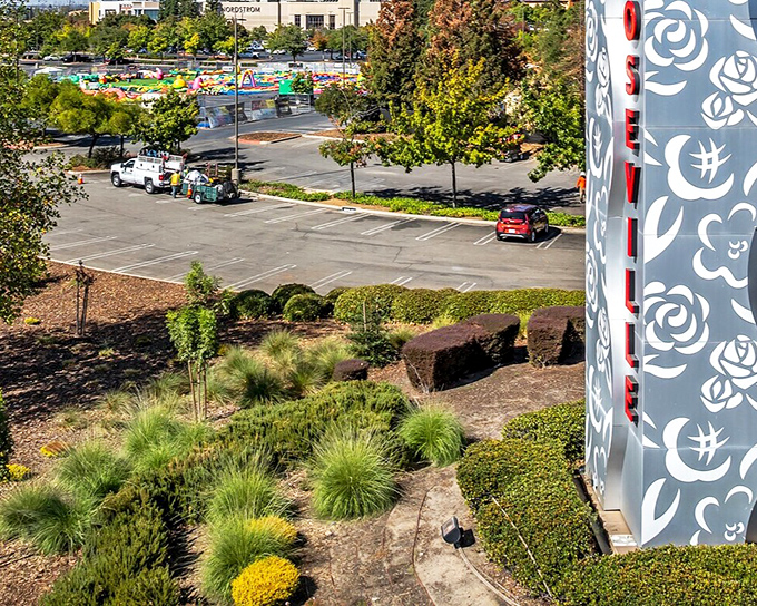 Modern landscaping meets practical design at Roseville's shopping centers, where California drought-resistant plants prove beauty doesn't require constant hydration.