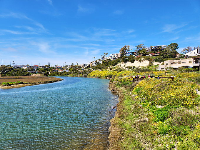 San Elijo Lagoon offers a serene counterpoint to crashing waves, where wildlife thrives and humans remember to use their indoor voices.