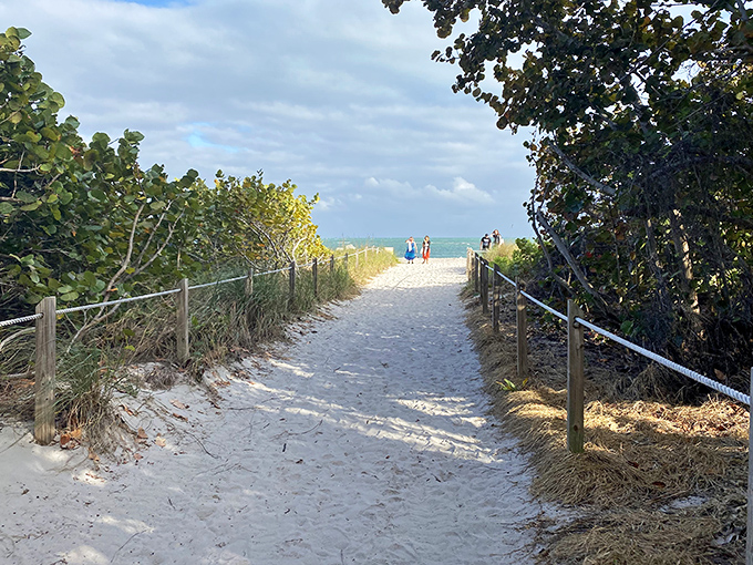The sandy pathway parts the coastal vegetation like Moses through the Red Sea, leading beachgoers toward their own promised land of surf and sun.