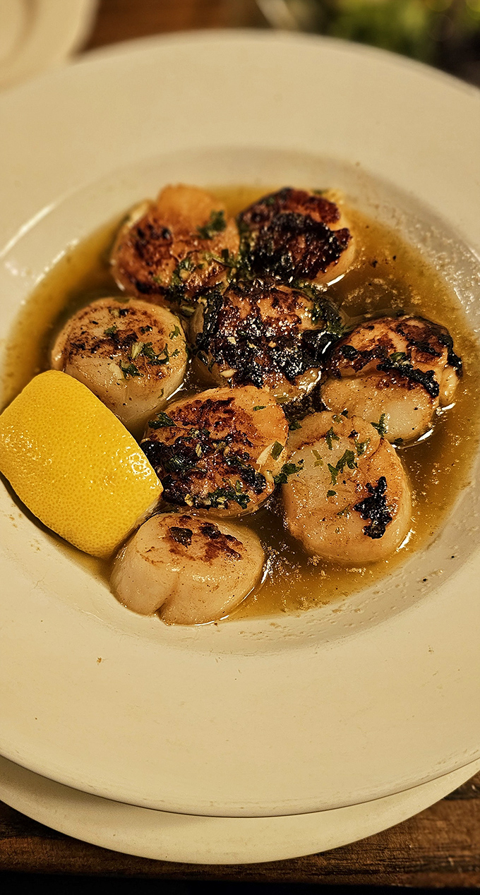 These seared scallops swimming in buttery broth aren't just seafood&mdash;they're little ocean medallions that somehow found their culinary destiny in rural Ohio.