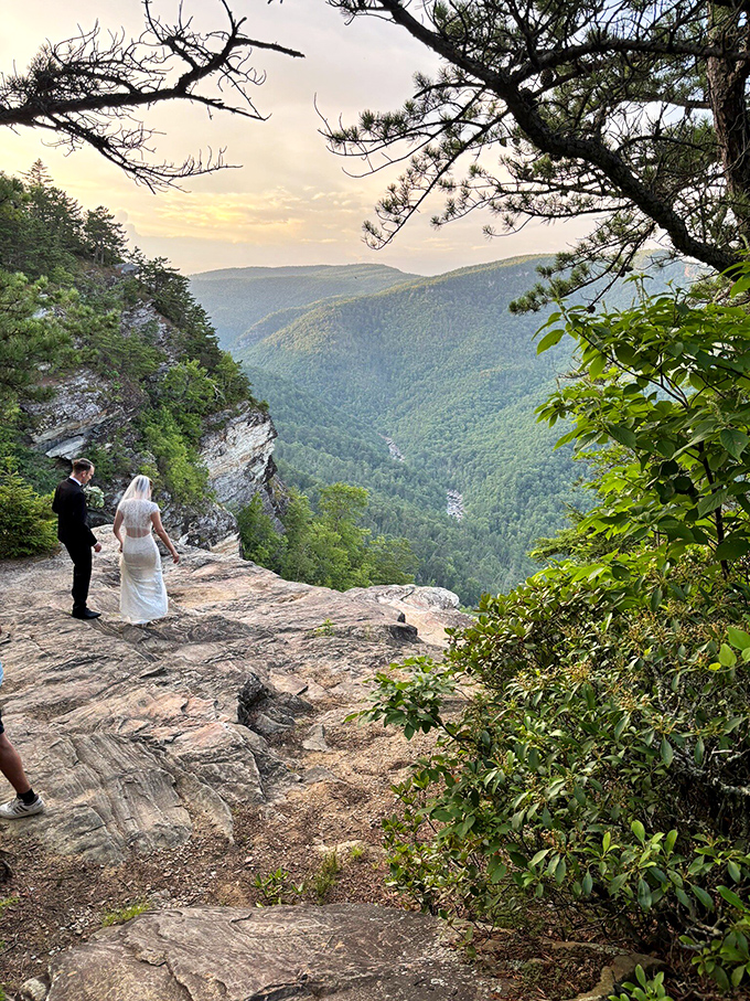 Some couples choose ballrooms; others prefer nature's cathedral. With this backdrop, even wedding photographers can't take a bad shot.