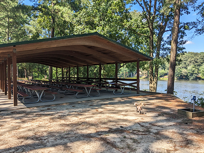 Schumaker Park's amphitheater hosts concerts that prove great entertainment doesn't require Broadway ticket prices.