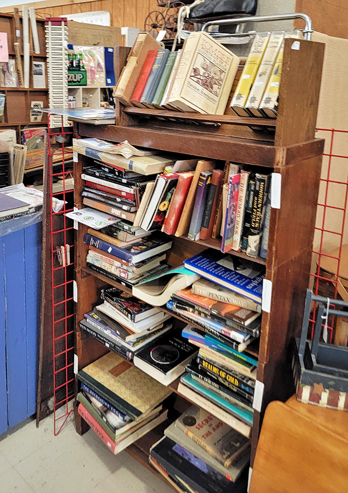 A literary time capsule where dog-eared pages tell two stories: the one printed inside and the one about who read them.