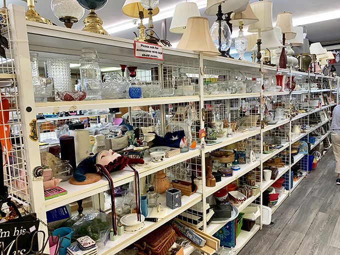 Shelves packed with glassware, lamps, and knickknacks&mdash;each item with a previous life and now patiently waiting for its second act.