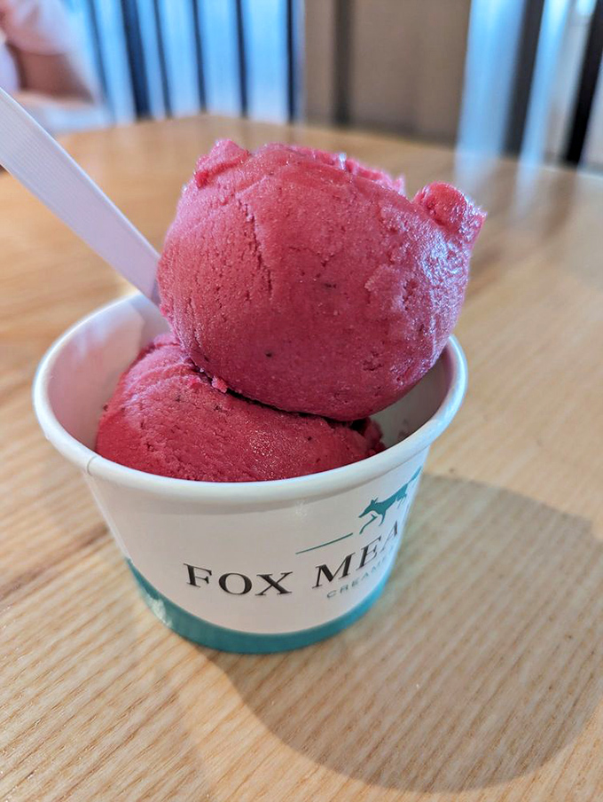 Ruby-red sherbet that looks like it was harvested from some mythical fruit orchard. Refreshment incarnate on a wooden table.