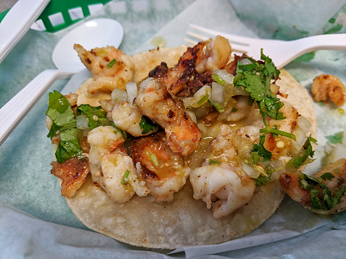 Plump, perfectly grilled shrimp nestled on a fresh tortilla with bright cilantro and onion&mdash;seafood tacos that transport you straight to a coastal Mexican village.