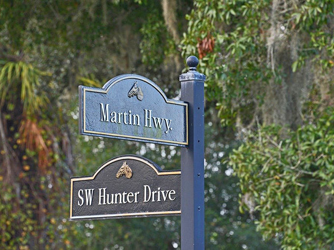 The humble street sign that marks the entrance to one of Florida's most magical drives. Sometimes the best adventures begin with simple directions.
