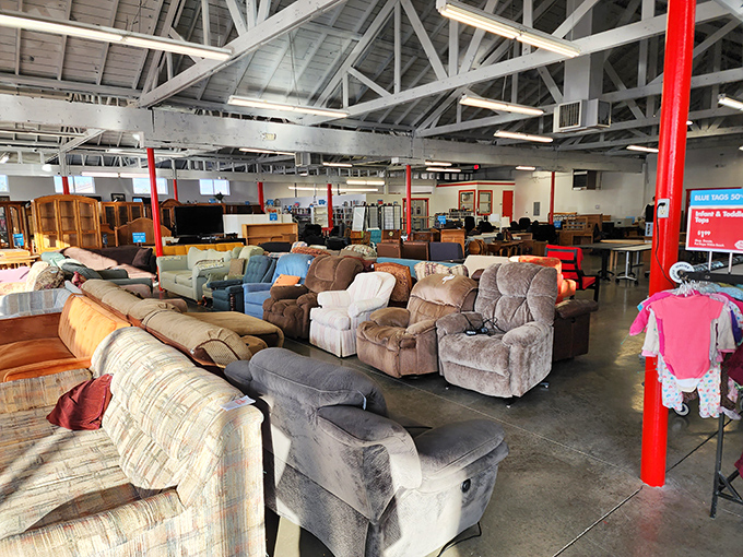 These sofas have more stories than your uncle at Thanksgiving, and they're all looking for new chapters.