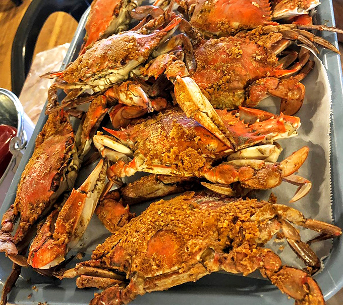 A tray of softshell crabs dusted with seasoning – the ocean's most generous gift, ready for their moment of glory.