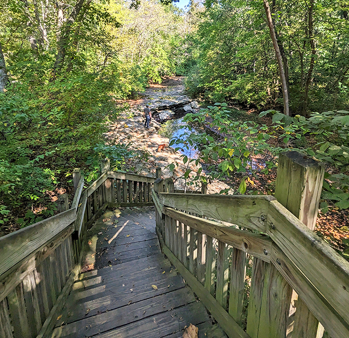 Wooden steps descending into a forest creek &ndash; like something straight out of a Robert Frost poem, minus the existential crisis.