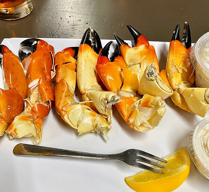 Stone crab claws&mdash;nature's perfect appetizer. These golden treasures are Florida's answer to lobster, with meat so sweet it barely needs the dipping sauce.