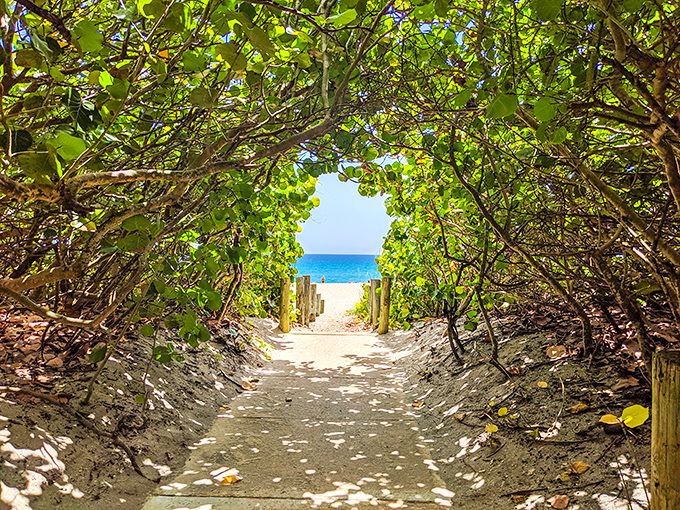 Beach pathways in Stuart feel like nature's version of a red carpet, leading you to the main attraction: that impossibly blue Atlantic.