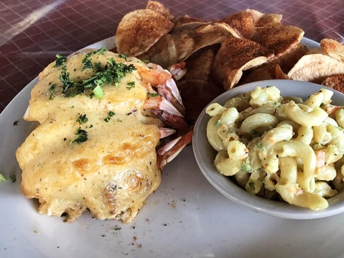 Stuffed seafood that looks like it swam straight from the Chesapeake Bay onto your plate.
