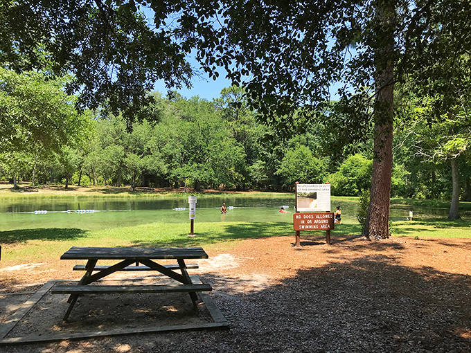 Lakeside lounging, South Carolina style. This swimming area proves you don't need ocean waves or chlorine to have a perfect summer day.