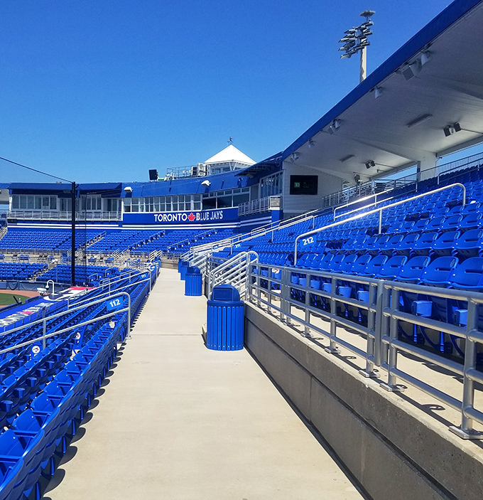 Spring training at TD Ballpark brings baseball dreams to life under the Florida sun every March.