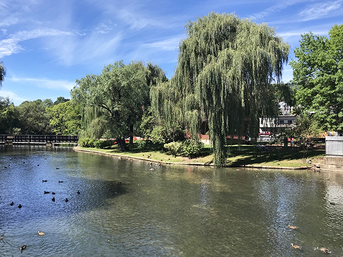 Talleyrand Park's weeping willows and duck-dotted waters create the perfect backdrop for contemplating life's big questions&mdash;or just enjoying ice cream.