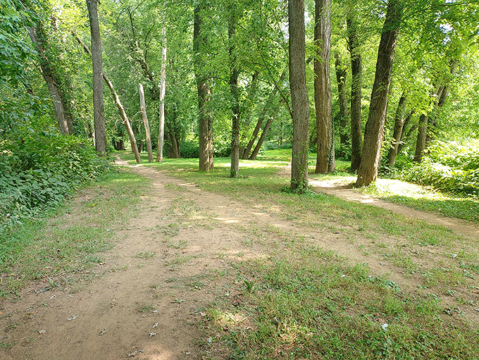 Trails that whisper instead of shout, perfect for contemplation or convincing yourself that walking counts as exercise.