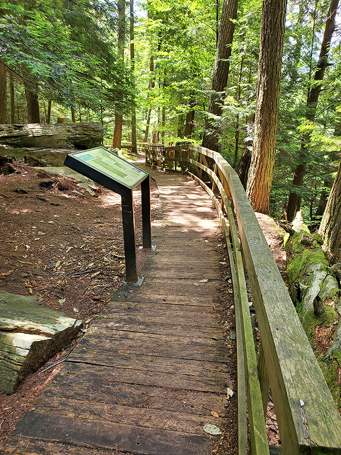 The wheelchair-accessible boardwalk proves Mother Nature doesn't discriminate&mdash;she wants everyone to experience her greatest hits album of trees, rocks, and rushing water.