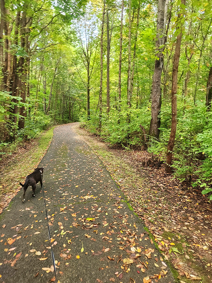 Nature's cathedral&mdash;a paved trail invites both two-legged and four-legged explorers to discover what lies around the next gentle curve.