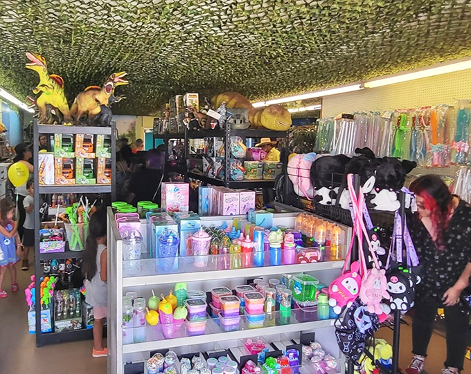 Colorful containers and kitchen gadgets that would make Martha Stewart weep tears of organizational joy.