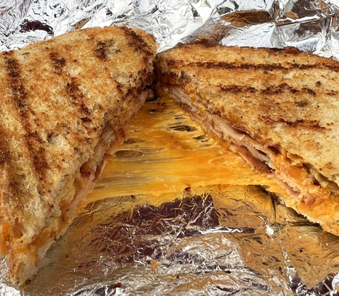 That's not just a grilled cheese—it's a masterpiece of melty perfection. The strings of cheese stretching between halves tell the whole delicious story.
