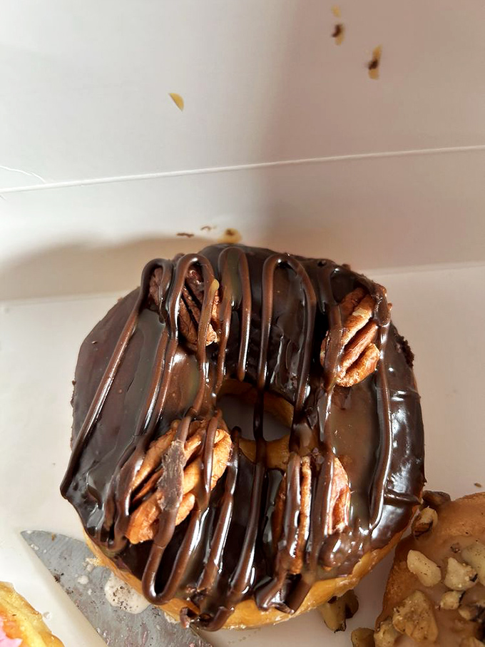 Pecans and chocolate drizzle dancing together &ndash; proof that turtles can fly, at least in donut form.