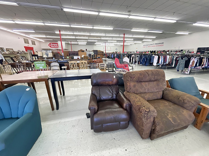 Recliners and armchairs form a living room lineup, each with its own personality and comfort level waiting to be tested.