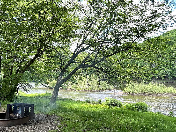 A riverside fire ring and the gentle flow of water&mdash;nature's version of dinner and a show, minus the overpriced tickets.