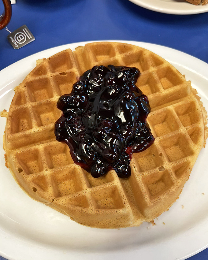 A waffle that's achieved the impossible balance—crisp exterior, fluffy interior, topped with blueberry compote that means business. Breakfast or dessert? Yes.
