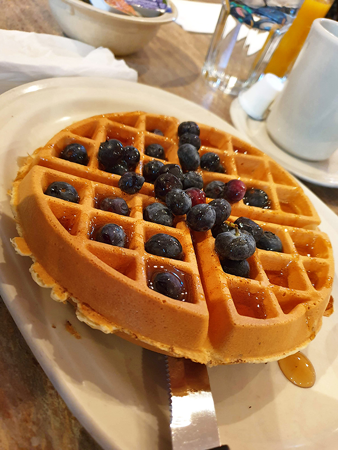 Breakfast nirvana exists, and it looks exactly like this golden waffle topped with plump blueberries waiting to be drowned in maple syrup.
