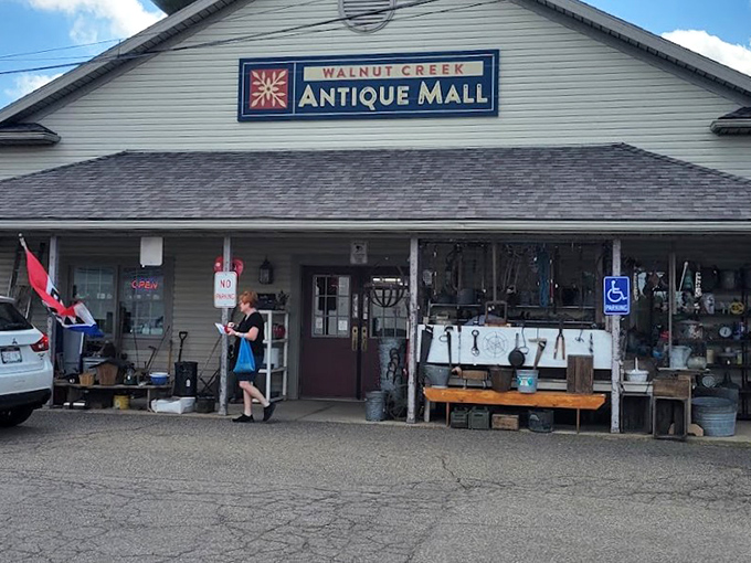 The Antique Mall: where one person's "grandma's old stuff" becomes another's "vintage treasure" with historical street cred.