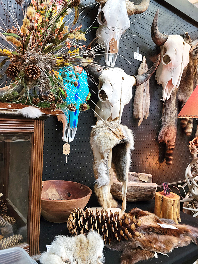 Where else can you find a painted blue buffalo skull alongside fur hats and wooden bowls? The perfect d&eacute;cor for those who find Pottery Barn too predictable.