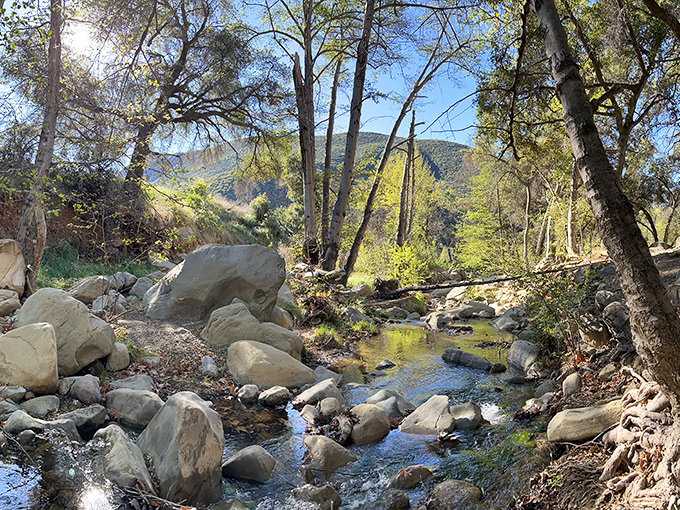 Wheeler Gorge's babbling brook performs nature's original podcast &ndash; no subscription required, just the willingness to sit and listen awhile.