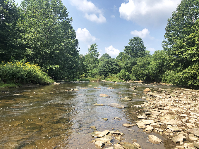 The Chagrin River meanders peacefully through sun-dappled stones, offering a tranquil respite that's worth every minute of the drive from Cleveland. 