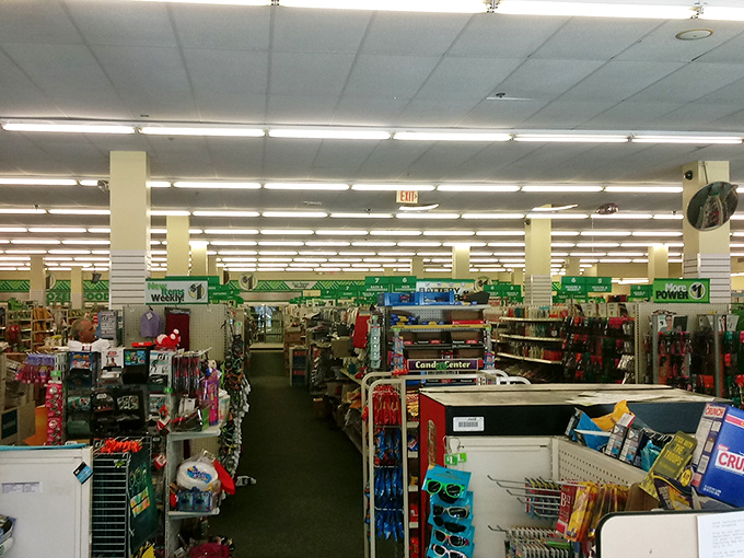 Like a museum of practical possibilities, each aisle offers a different collection of life's necessities and whimsical wants, all at the same magical price.