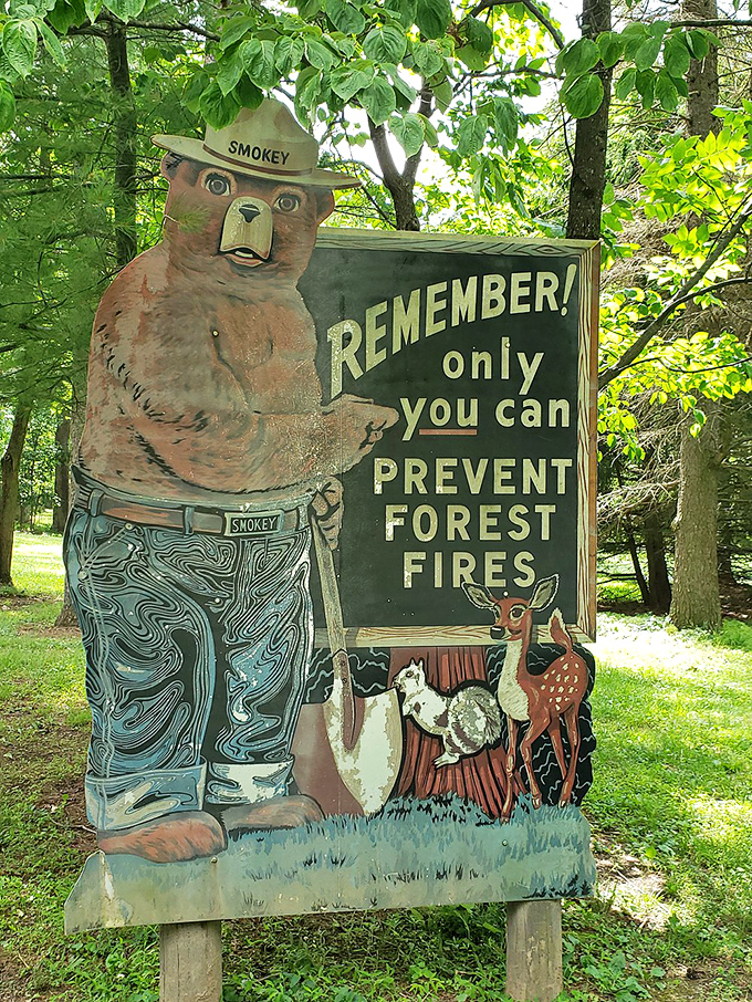 Smokey Bear: the original influencer. Before hashtags existed, he was already telling us what was hot and what's not.