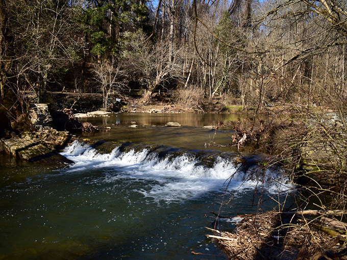 Nature's own spa treatment: The Wissahickon Creek tumbles over a small waterfall, creating a soundtrack that beats any meditation app on your phone.