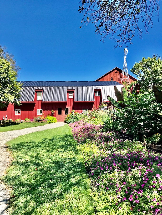 This classic red barn and garden combination isn't just photogenic&mdash;it's the living, breathing heart of Amish country's agricultural tradition. 